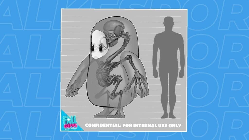 Fall guys anatomy revealed