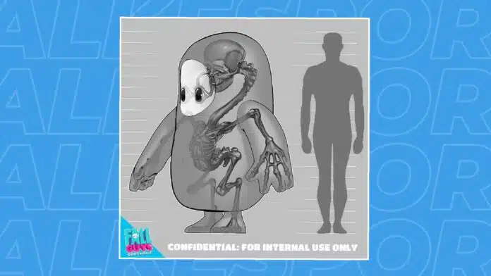 Fall guys anatomy revealed » TalkEsport
