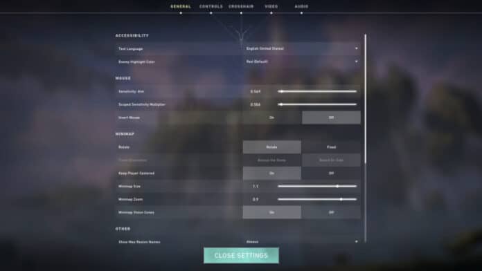 How to Get Best Aim in Valorant: Aim Settings