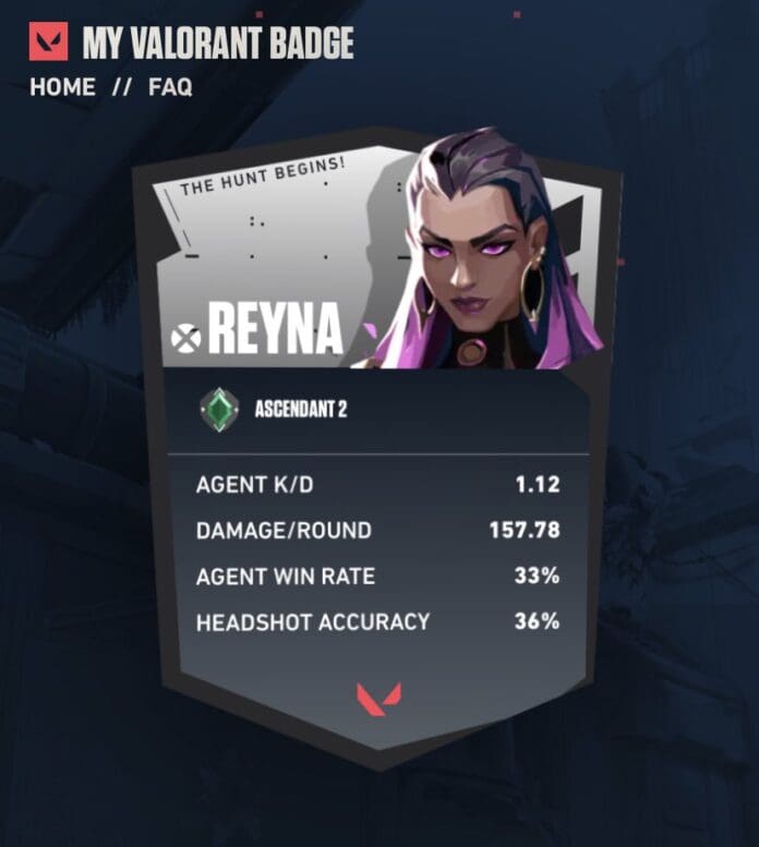 How To Get a Valorant Badge for Your Profile?