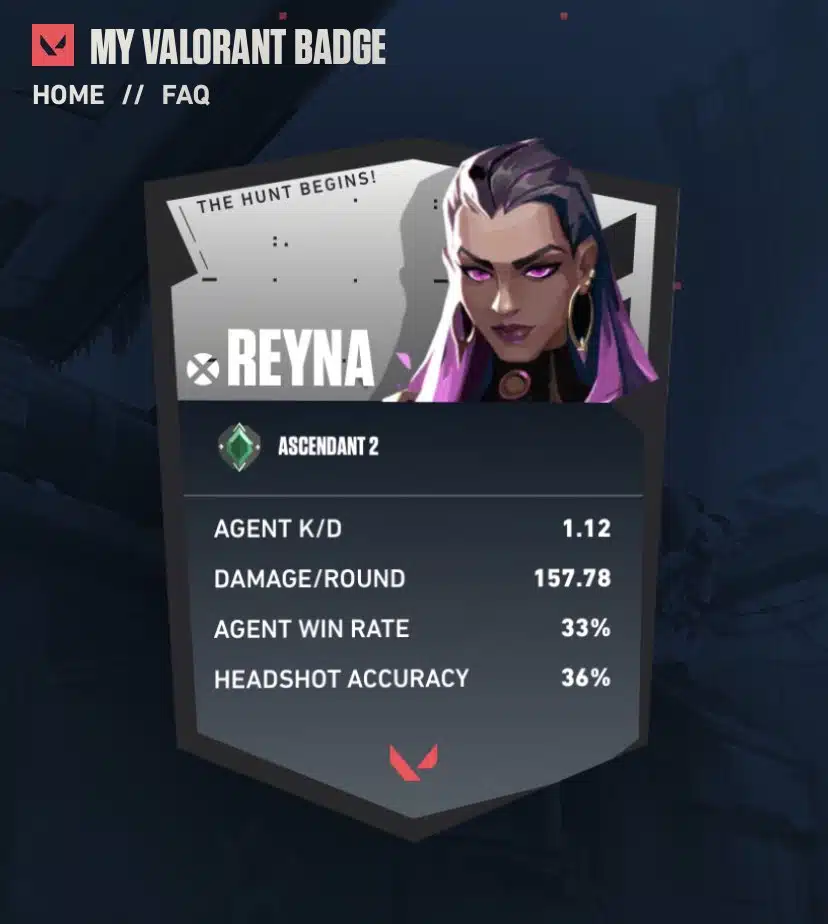 How To Get a Valorant Badge for Your Profile? » TalkEsport